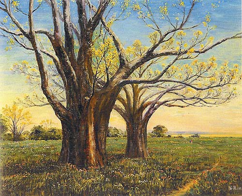 老當益壯1993-客家雲 Hakka Cloud