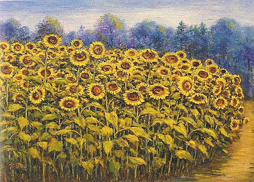 朝陽（向日葵）1998-客家雲 Hakka Cloud