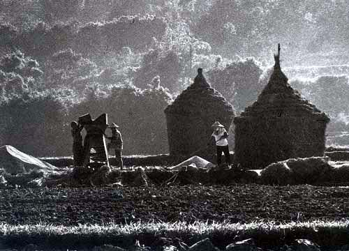 羅漢章作品11-客家雲 Hakka Cloud