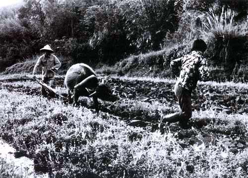 陳雲錦作品13-客家雲 Hakka Cloud